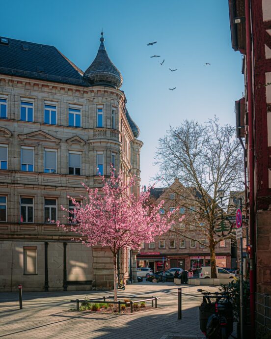 Frühling am Jean Mandel Platz 2025 - Faszination Fürth